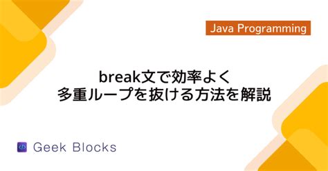 Java For文で配列の値の合計を計算する方法 Geekblocks