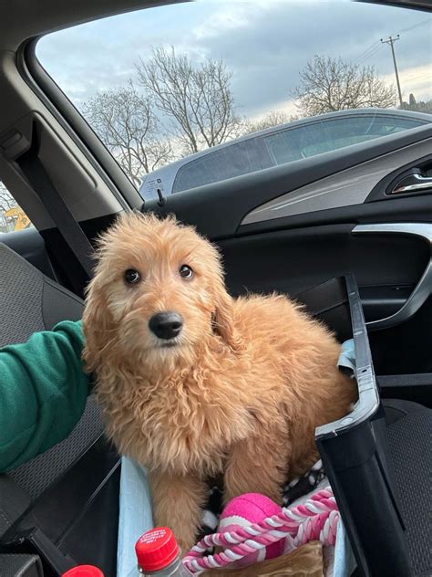 Shane Parkins On Linkedin Working Remotely Has Its Benefits After Being Fully Remote For