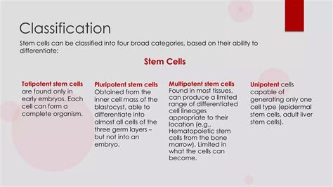 Monophyletic Theory Of Hematopoiesis Stem Cells Pptx