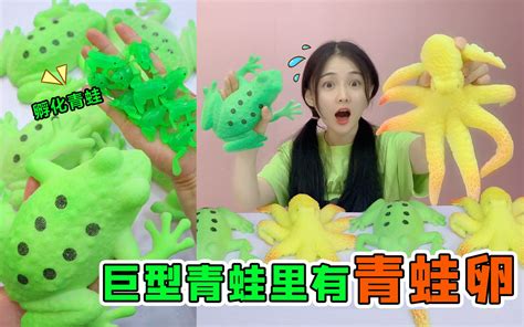 巨型青蛙里有 青蛙卵”！还能孵化出宝宝，最后为啥变成毒液球？ 桂圆子同学 桂圆子同学 哔哩哔哩视频