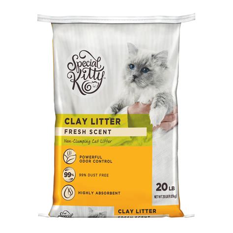 Special Kitty Non Clumping Clay Cat Litter 20 Lb With Fresh Scent Odor