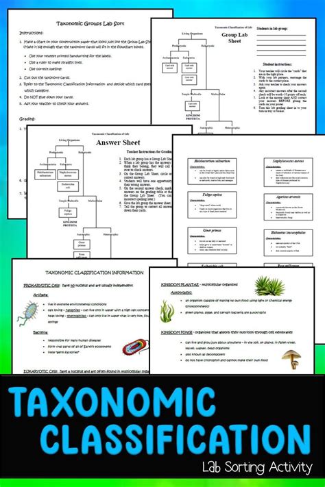 Taxonomic Classification Lab Sorting Activity In 2025 Science Lessons