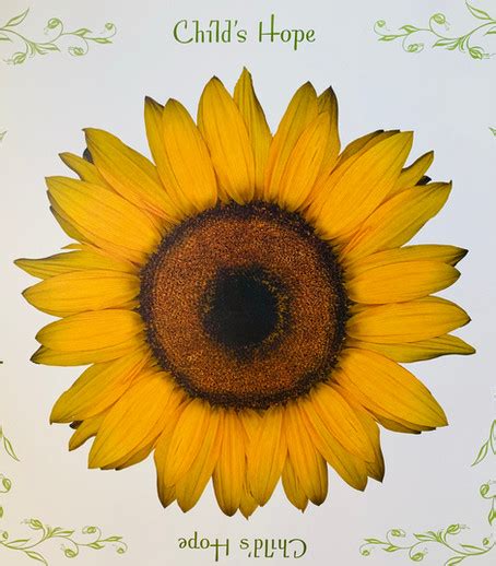 Home Donald And Mary Kosch Foundation Dearborn Michigan