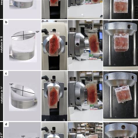 Different Perspectives Views Of The Specimen Block Together With The