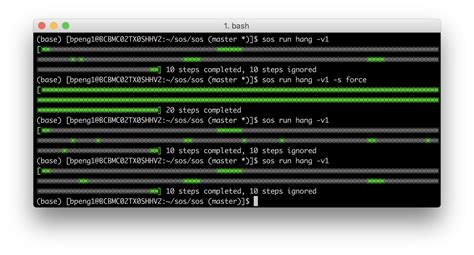 inconsistent summary information between reruns · issue 1062 · vatlab