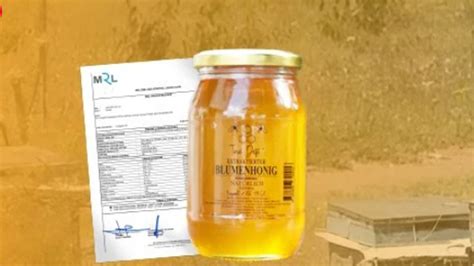 Sedir Balı Faydaları Ve Nasıl Tüketilir