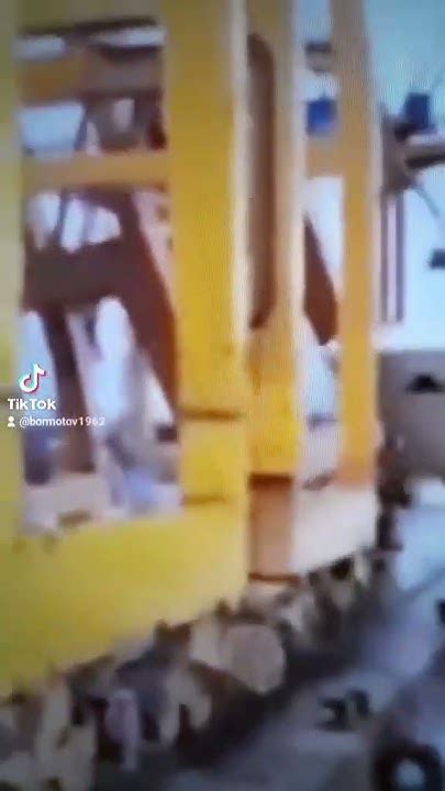 дохя проблем🦥 Youtube