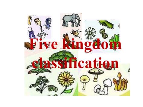 Five Kingdom Classification Pptx