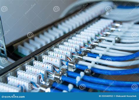 Network Installation Network Cable On A Network Hub Lan Cable