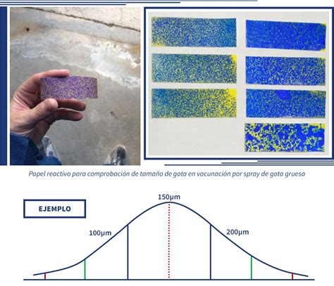 Puntos Clave En El Manejo Y Conservación De Vacunas