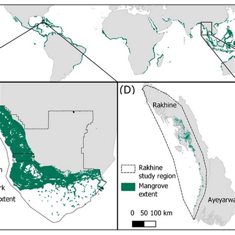 A Global Mangrove Extent From The Global Mangrove Watch 2016 Dataset