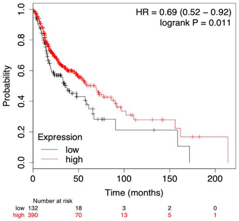 Predictive Models For Stage And Risk Classification In Head And Neck