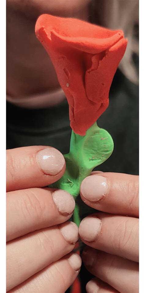 Reverse Cookie Cutter My Wifes Creation R Whatismycookiecutter