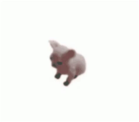 Gato Bailando  Gato Bailando Discover And Share S