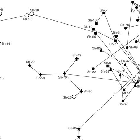 Minimum Spanning Tree Mst And 2d Plot Generated By Principal