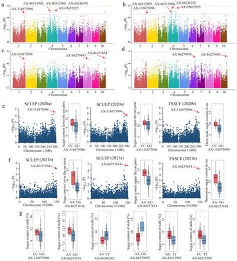 Ijms Free Full Text Identification Of Genetic Variations And