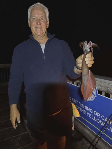 Squid Season
