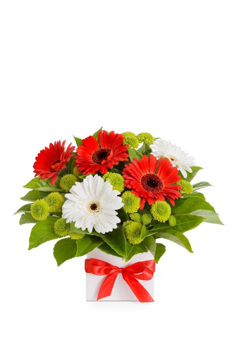 Flowers From 39 Easyflowers Australia Send Flowers Online