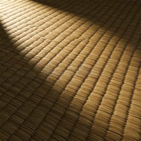 Material Japanese Tatami Texture Background Stock Illustrations 170