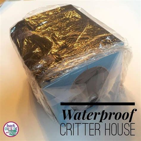 Stem For Students With Special Needs Part 1 Artofit