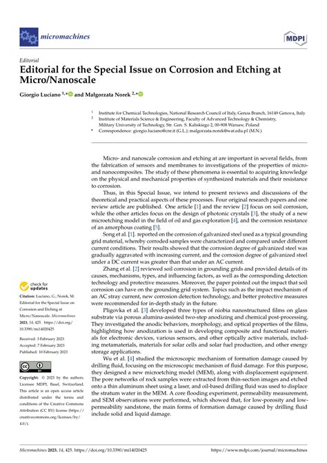 Pdf Editorial For The Special Issue On Corrosion And Etching At Micro