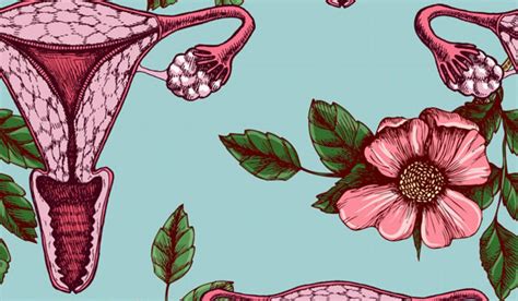 Can Birth Control Cause Infertility The Gynae Centre