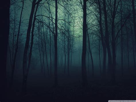 Dark Forest 4k Ultra Hd Wallpapers Top Free Dark Forest 4k Ultra Hd