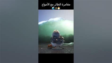 مغامرة الطائر مع الأمواج 🐣 🌊 Shorts كرتون فيلم أنمي اكسبلور Youtube