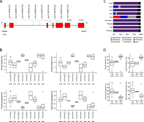 Figure S5 Targeted Haplotyping For Gene Coding For Bhlh Transcription