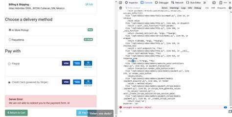 Stripe Server Error We Are Not Able To Redirect You To The Payment Form Id Issue