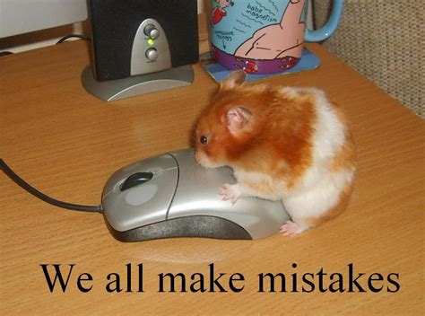 Funny Mouse Pictures