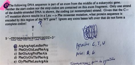 Solved The Following DNA Sequence Is Part Of An Exon From Chegg