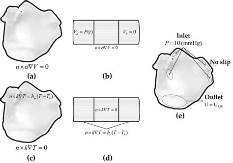 The Electrical Boundary Conditions Thermal Boundary Conditions And Download Scientific