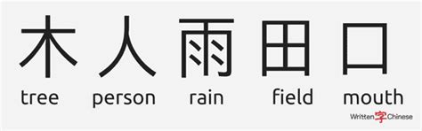 How To Read Chinese Characters A Beginners Guide