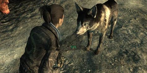 Fallout 10 Silliest Perks In The Series