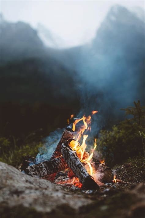 Whiskey Sex And Lies