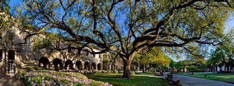 The Quad On Lsus Beautiful Campus Louisiana State University Lsu College Louisiana
