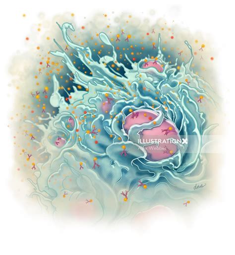 Alex Webber Medical And Scientific Illustrator Usa