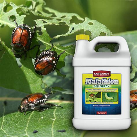 Commercial Malathion Roach Control Products Cyonara 97 Insecticide