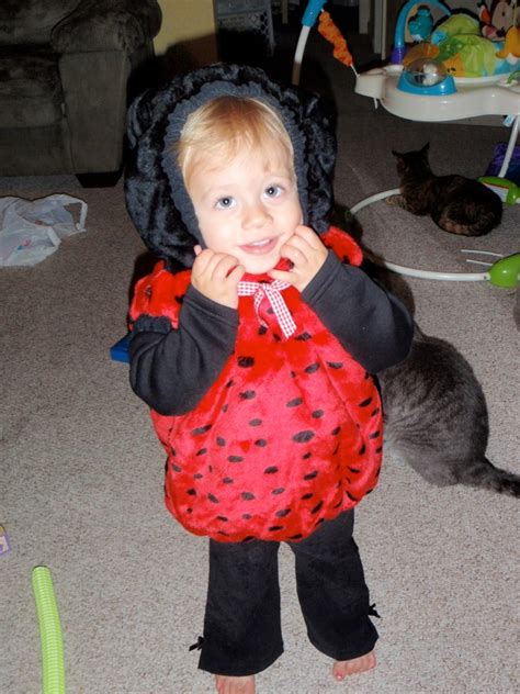 Natalies Going To Be A Ladybug For Halloween D Mike And Kala Larsen Flickr