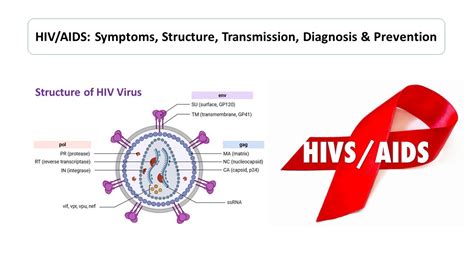 Hiv And Aids Structure Transmission Symptoms Diagnosis And Prevention