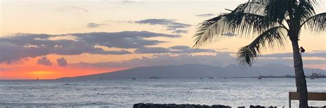 Nathan Allman 🌊 Nathanlallman Twitter