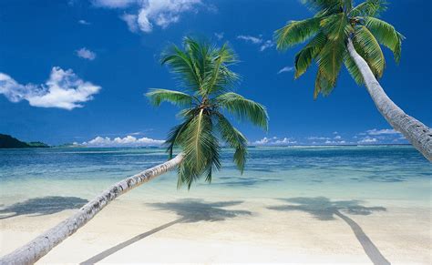 🔥 100 Beach Scenes Wallpapers Wallpapersafari