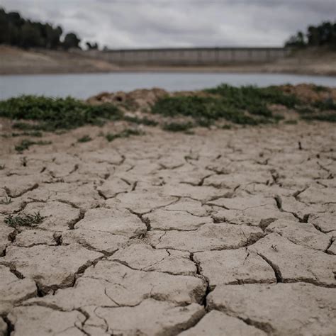 El Bcra Usará El Nuevo Ipc Nacional De Indec Para Seguir La Política De Metas De Inflación Infobae