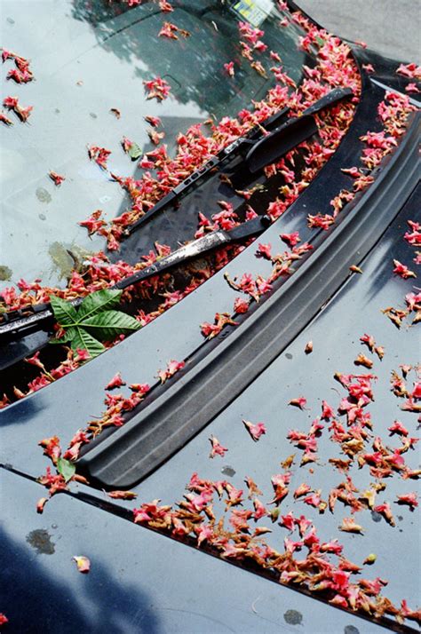 Marion Berrin Booooooom Create Inspire Community Art Design Music Film Photo