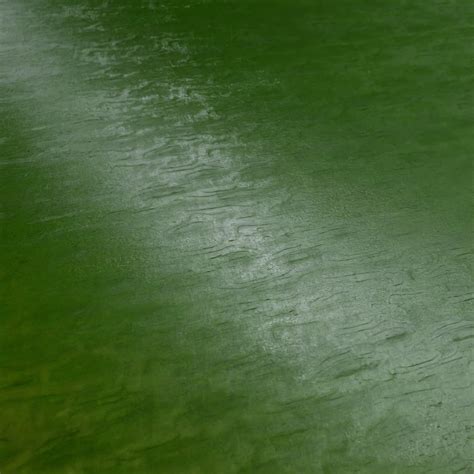 Emerald Fine Wood Texture 1374 Lotpixel