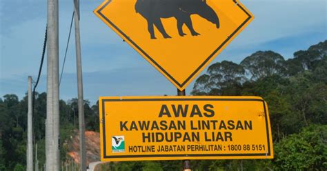 Ministry Works On Forest Connectivity To Reduce Human Wildlife Conflict