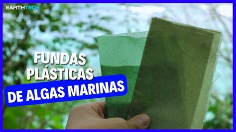 Bioplásticos A Partir De Algas