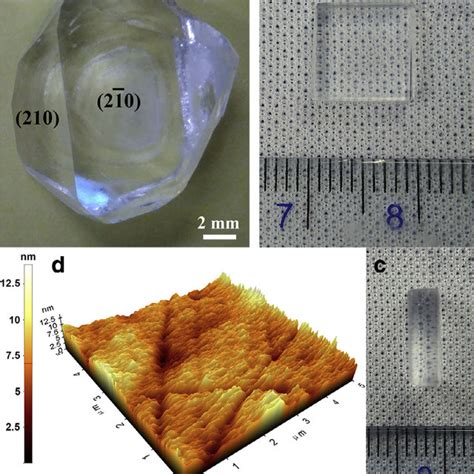 The Principle Scheme Of The Pump Probe Technique Download Scientific