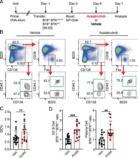 Figure 6 From Role Of Affinity In Plasma Cell Development In The Germinal Center Light Zone